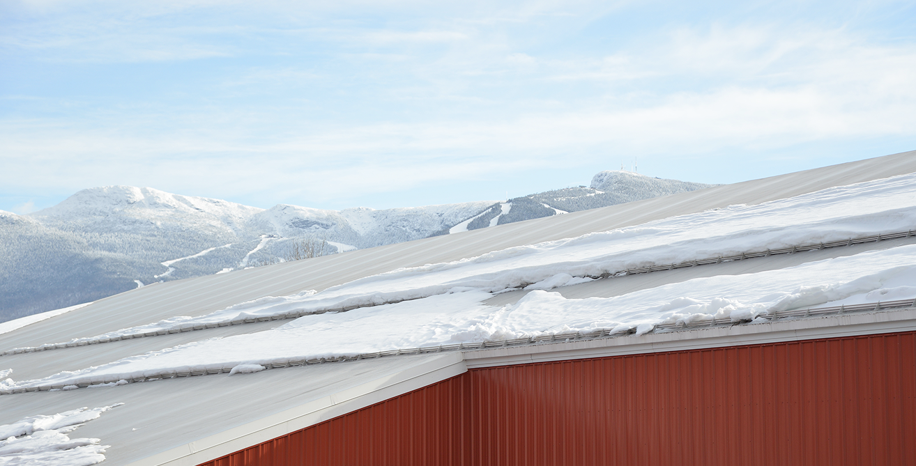 Alpine SnowGuards